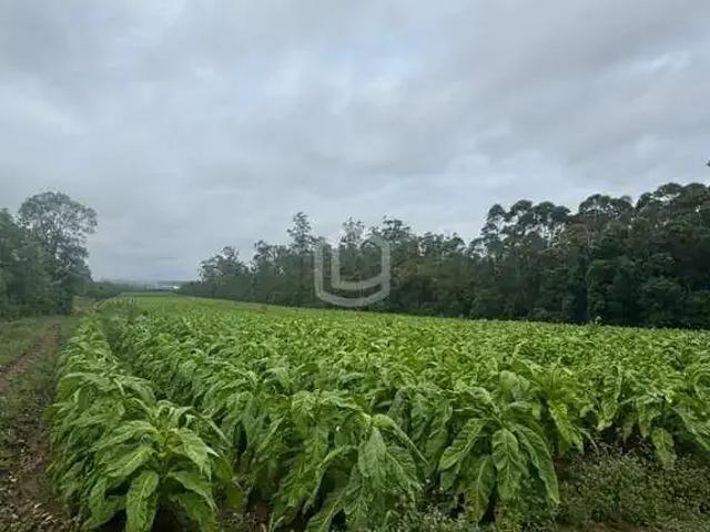 Sítio / Chácara para Venda em Içara/SC Esperança