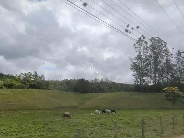 Sítio / Chácara para Venda em Imaruí/SC Fazenda Rio das Garças 3 Quartos