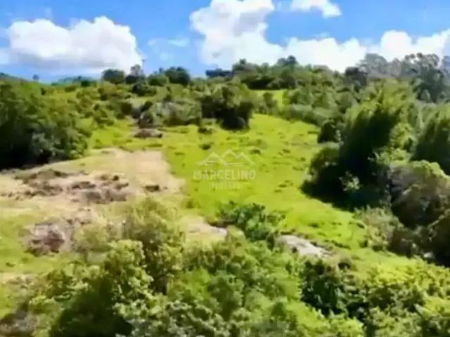 Sítio / Chácara para Venda em Imaruí/SC Ribeirão de Cangueri