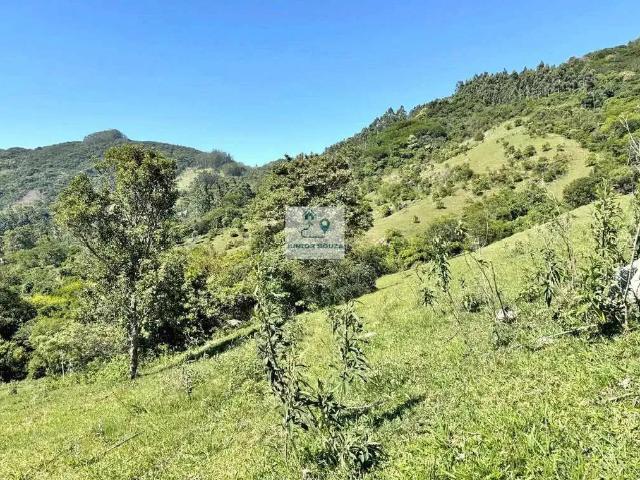 Sítio / Chácara para Venda em Imaruí/SC Ribeirão de Imaruí