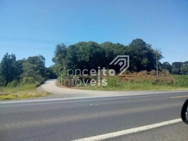 Sítio / Chácara para Venda em Imbituva/PR Centro