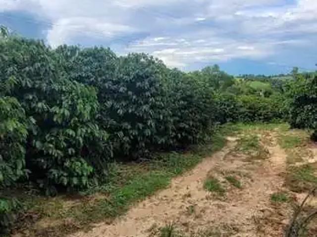 Sítio / Chácara para Venda em Indaiatuba/SP Morro Torto 2 Quartos