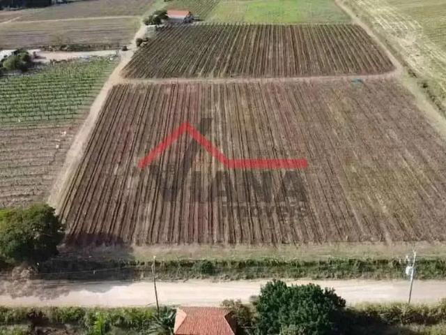 Sítio / Chácara para Venda em Indaiatuba/SP Área Rural de Indaiatuba