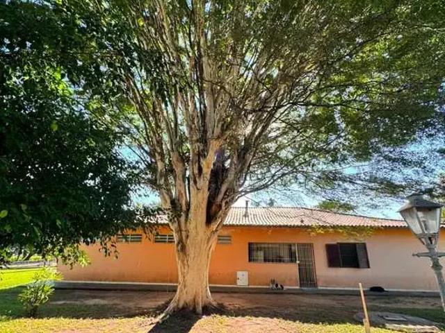 Sítio / Chácara para Venda em Indaiatuba/SP Recreio Campestre Internacional Viracopos I 4 Quartos