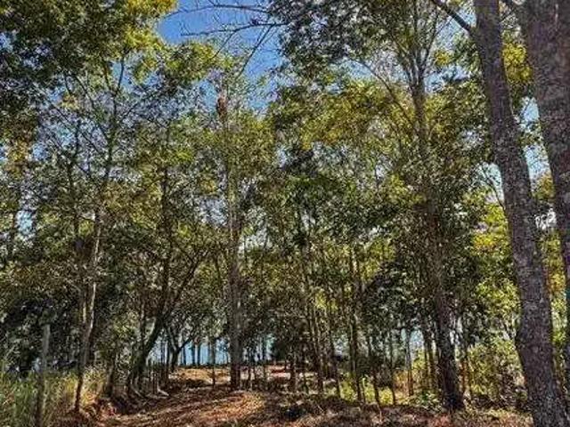 Sítio / Chácara para Venda em Indianópolis/MG Zona Rural