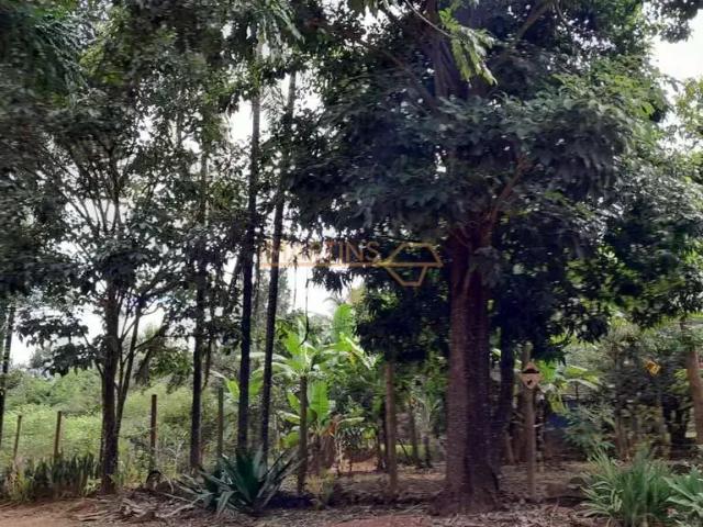 Sítio / Chácara para Venda em Indianópolis/MG Zona Rural 1 Quartos