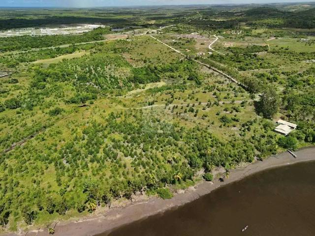 Sítio / Chácara para Venda em Indiaroba/SE Terra Caída