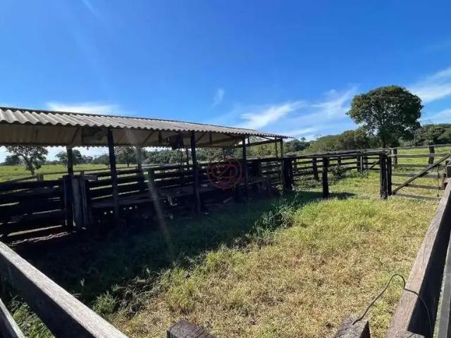 Sítio / Chácara para Venda em Inocência/MS Zona Rural 3 Quartos