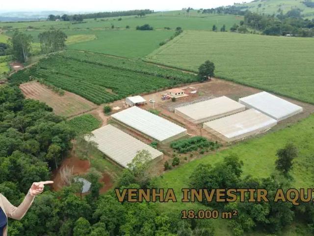 Sítio / Chácara para Venda em Ibaiti/PR Vila Guay