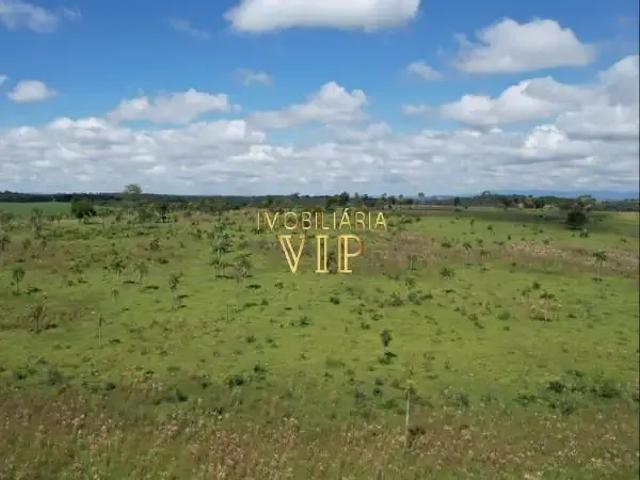 Sítio / Chácara para Venda em Ibaiti/PR Zona Rural 1 Quartos