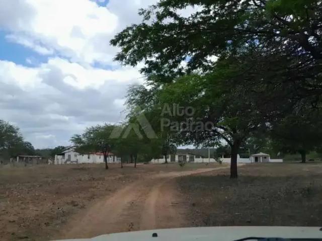 Sítio / Chácara para Venda em Ibimirim/PE Centro