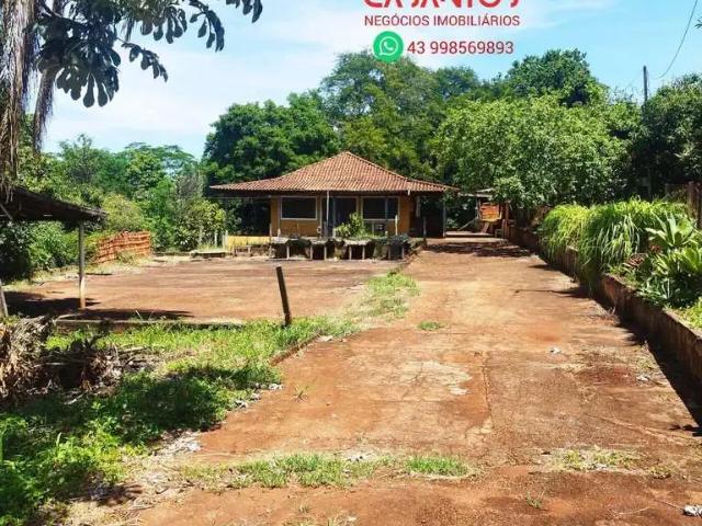 Sítio / Chácara para Venda em Ibiporã/PR Centro