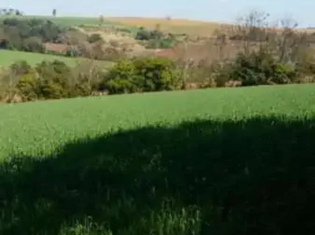 Sítio / Chácara para Venda em Ibiporã/PR Centro 1 Quartos