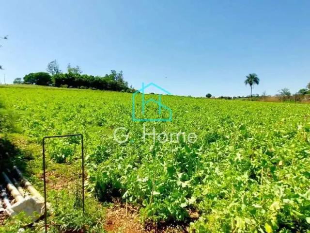 Sítio / Chácara para Venda em Ibiporã/PR Contorno Norte 2 Quartos