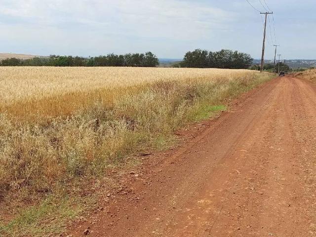 Sítio / Chácara para Venda em Ibiporã/PR Gleba Primavera