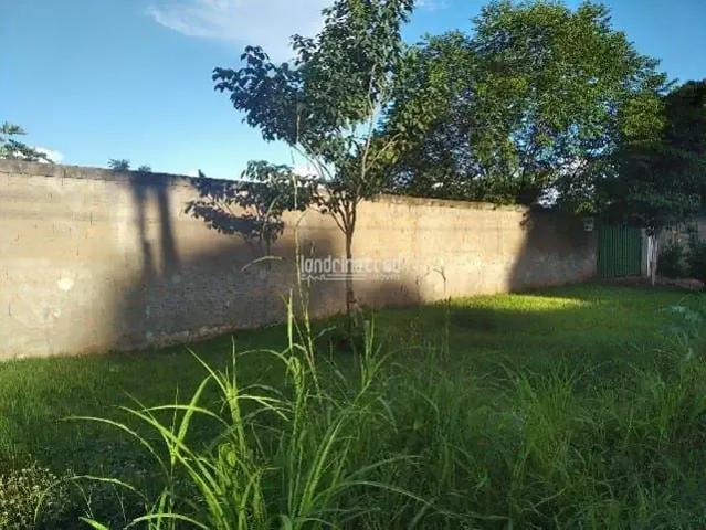 Sítio / Chácara para Venda em Ibiporã/PR Jardim Marajoara