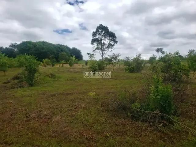 Sítio / Chácara para Venda em Ibiporã/PR Zona Rural