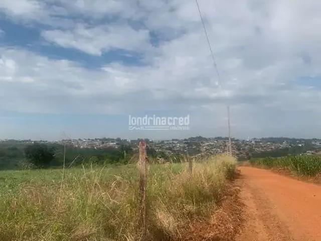 Sítio / Chácara para Venda em Ibiporã/PR Zona Rural