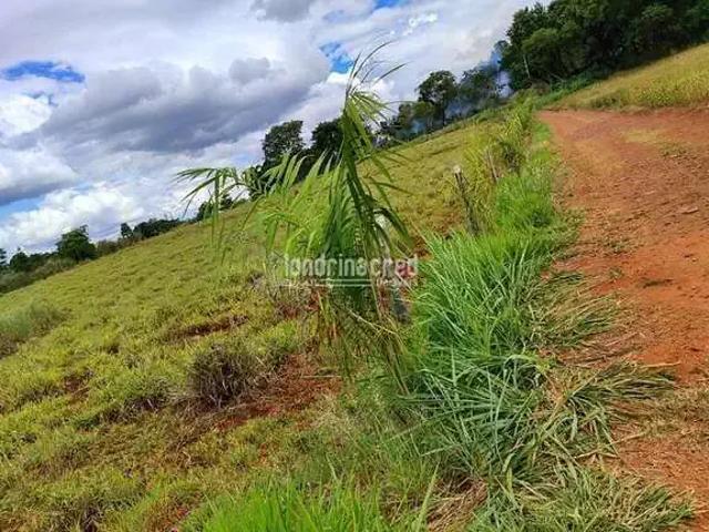 Sítio / Chácara para Venda em Ibiporã/PR Zona Rural