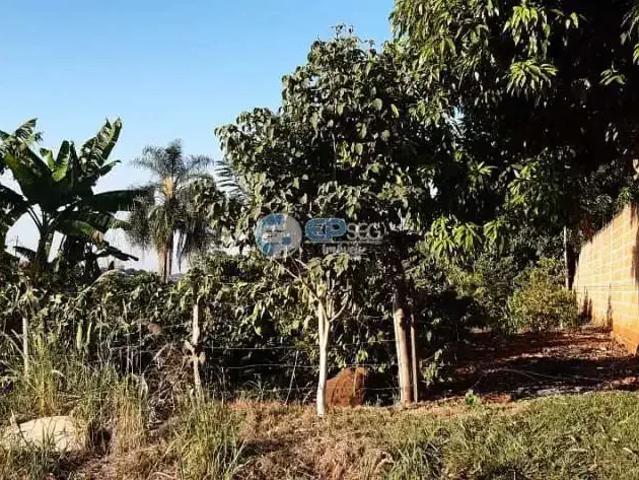 Sítio / Chácara para Venda em Ibiporã/PR Zona Rural