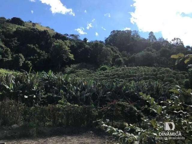 Sítio / Chácara para Venda em Ibitiúra de Minas/MG Zona Rural 2 Quartos