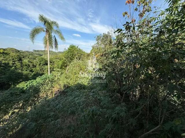 Sítio / Chácara para Venda em Ibiúna/SP Centro 1 Quartos