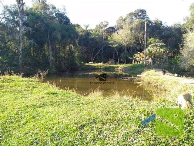 Sítio / Chácara para Venda em Ibiúna/SP Centro 4 Quartos