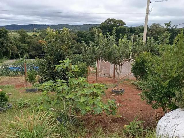 Sítio / Chácara para Venda em Ibiúna/SP Parurú 1 Quartos