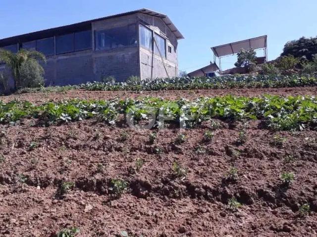 Sítio / Chácara para Venda em Ibiúna/SP Ressaca 1 Quartos