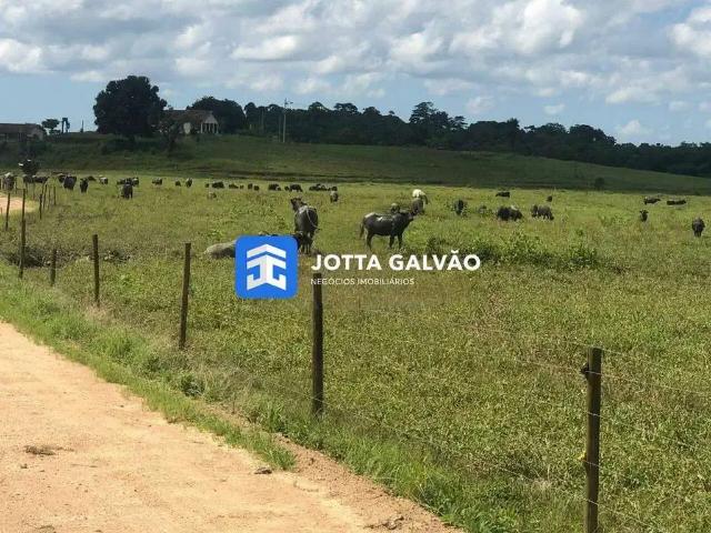 Sítio / Chácara para Venda em Iguape/SP Centro