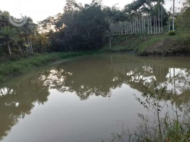Sítio / Chácara para Venda em Iguape/SP Centro 5 Quartos