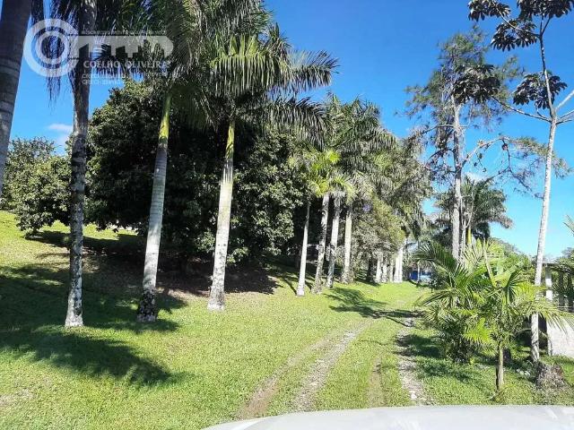 Sítio / Chácara para Venda em Iguape/SP Zona Rural