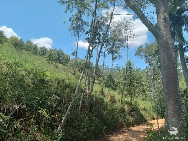 Sítio / Chácara para Venda em Igaratá/SP Centro