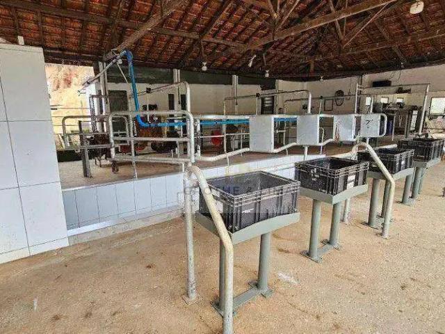 Sítio / Chácara para Venda em Igaratá/SP Recanto das Águas