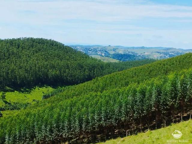 Sítio / Chácara para Venda em Igaratá/SP Zona Rural