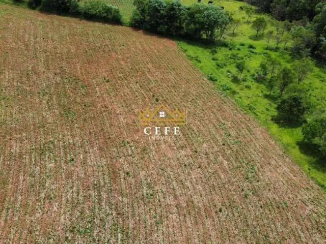 Sítio / Chácara para Venda em Igrejinha/RS Serra Grande