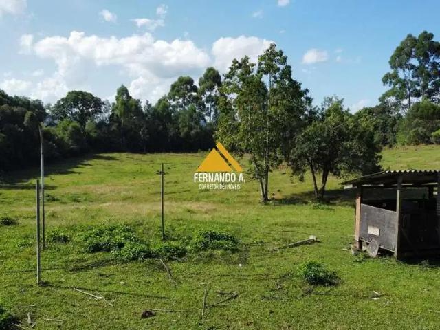 Sítio / Chácara para Venda em Igrejinha/RS Serra Grande