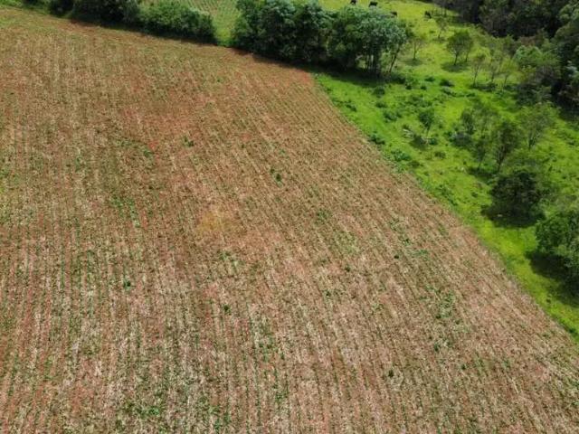 Sítio / Chácara para Venda em Igrejinha/RS Serra Grande