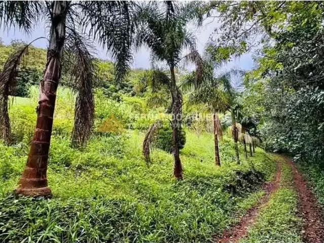 Sítio / Chácara para Venda em Igrejinha/RS Serra Grande