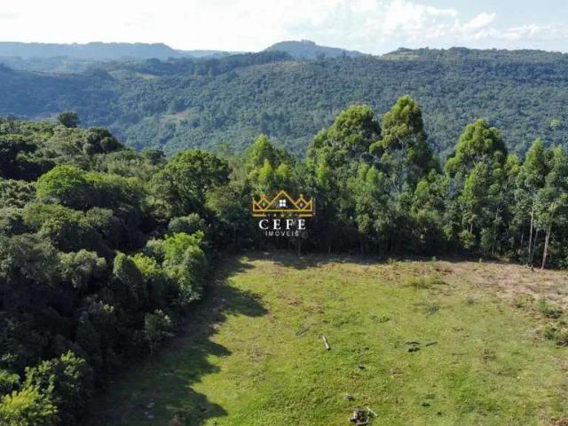Sítio / Chácara para Venda em Igrejinha/RS Serra Grande