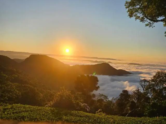 Sítio / Chácara para Venda em Igrejinha/RS Serra Grande