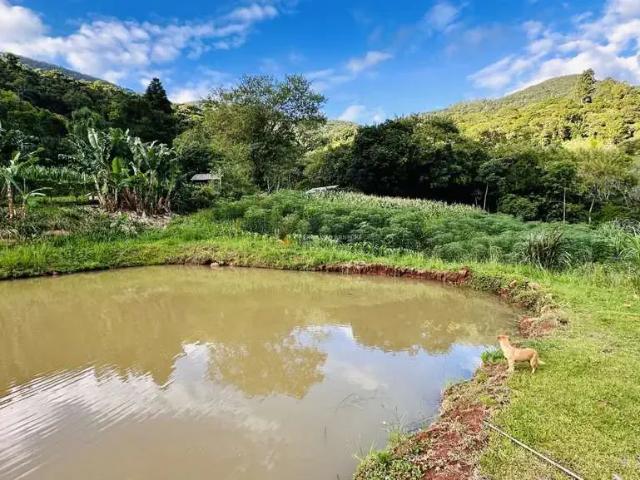 Sítio / Chácara para Venda em Igrejinha/RS Zona Rural 4 Quartos