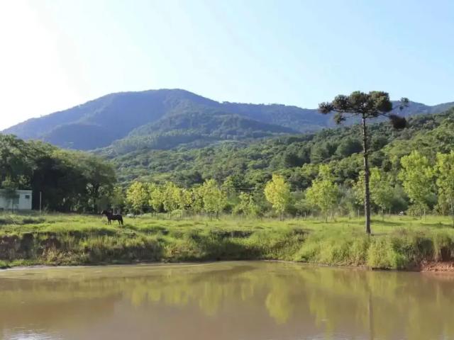 Sítio / Chácara para Venda em Igrejinha/RS Zona Rural