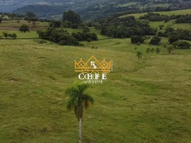 Sítio / Chácara para Venda em Igrejinha/RS Zona Rural