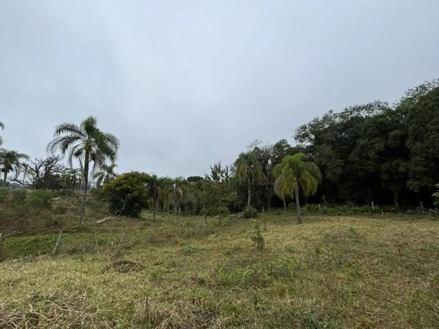 Sítio / Chácara para Venda em Igrejinha/RS Zona Rural
