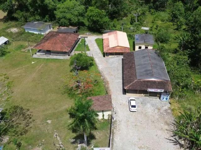 Sítio / Chácara para Venda em Ilhéus/BA Área Rural de Ilhéus 3 Quartos