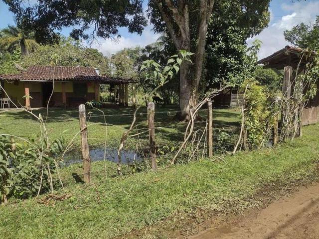 Sítio / Chácara para Venda em Ilhéus/BA Aritaguá 4 Quartos