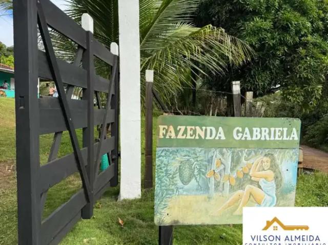 Sítio / Chácara para Venda em Ilhéus/BA Banco da Vitória 3 Quartos