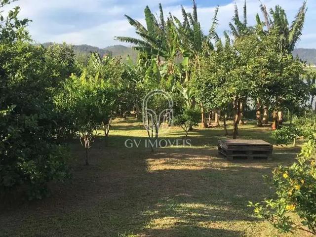 Sítio / Chácara para Venda em Ilhota/SC Centro 3 Quartos