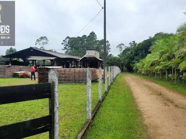 Sítio / Chácara para Venda em Ilhota/SC Ilhotinha 3 Quartos